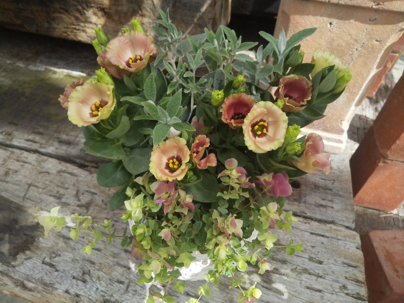 グリーンテラスはなようび